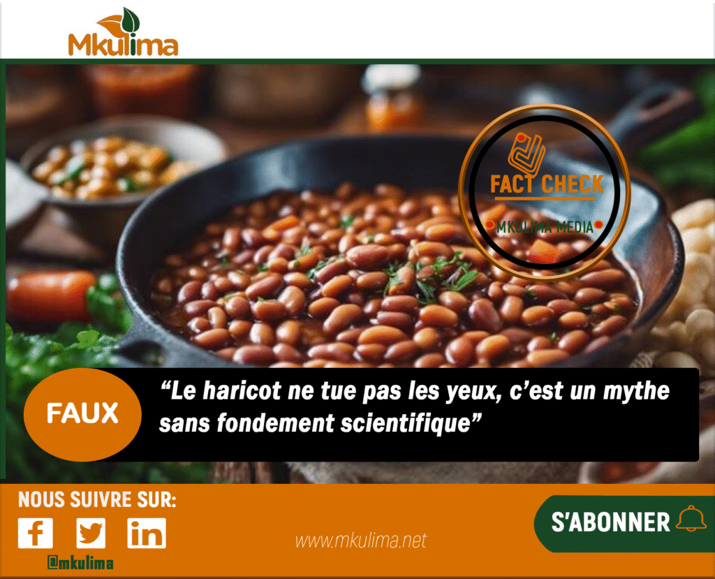 FAUX : Le haricot ne tue pas les yeux, c’est un mythe sans fondement ...